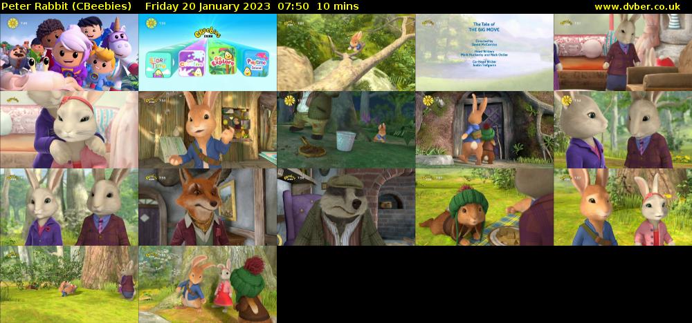 Peter Rabbit (CBeebies) - 2023-01-20-0750