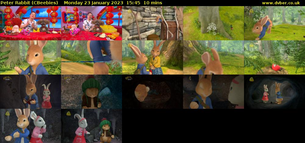 Peter Rabbit (CBeebies) - 2023-01-23-1545
