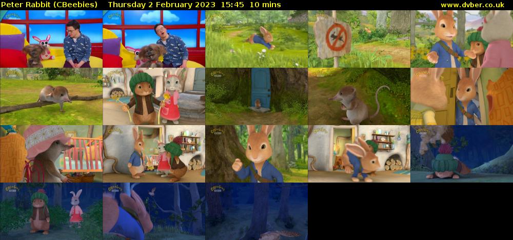 Peter Rabbit (CBeebies) - 2023-02-02-1545