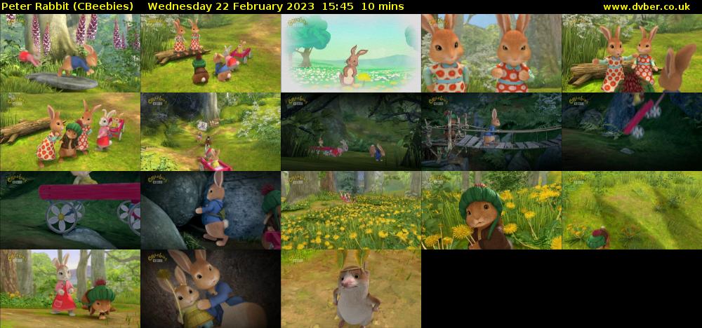 Peter Rabbit (CBeebies) - 2023-02-22-1545