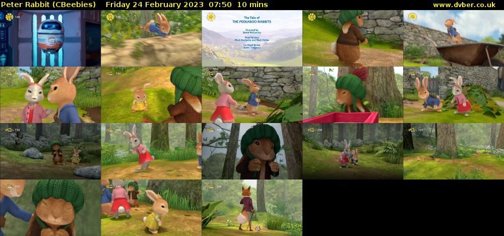 Peter Rabbit (CBeebies) - 2023-02-24-0750