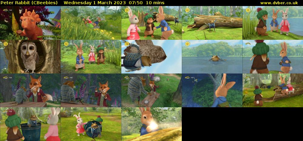 Peter Rabbit (CBeebies) - 2023-03-01-0750