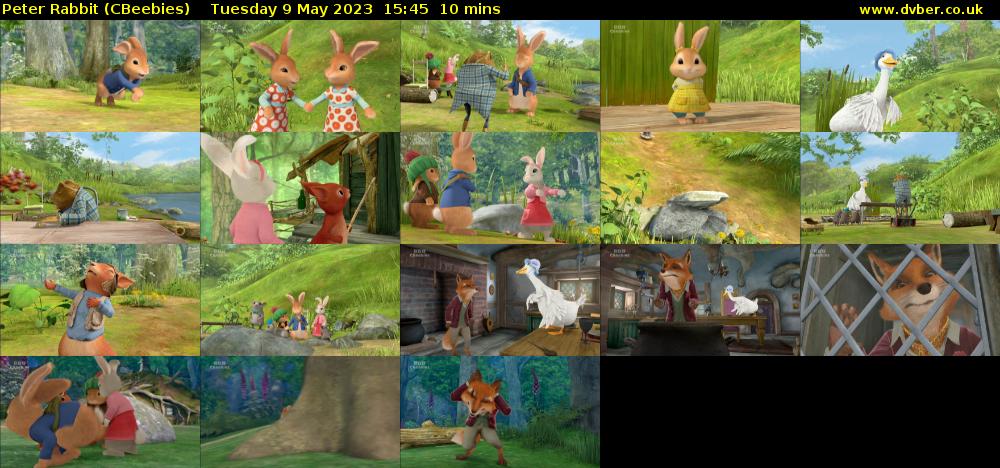 Peter Rabbit (CBeebies) - 2023-05-09-1545