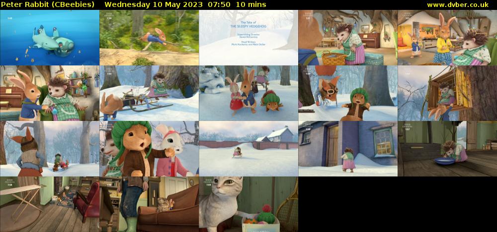 Peter Rabbit (CBeebies) - 2023-05-10-0750