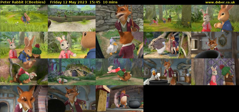 Peter Rabbit (CBeebies) - 2023-05-12-1545