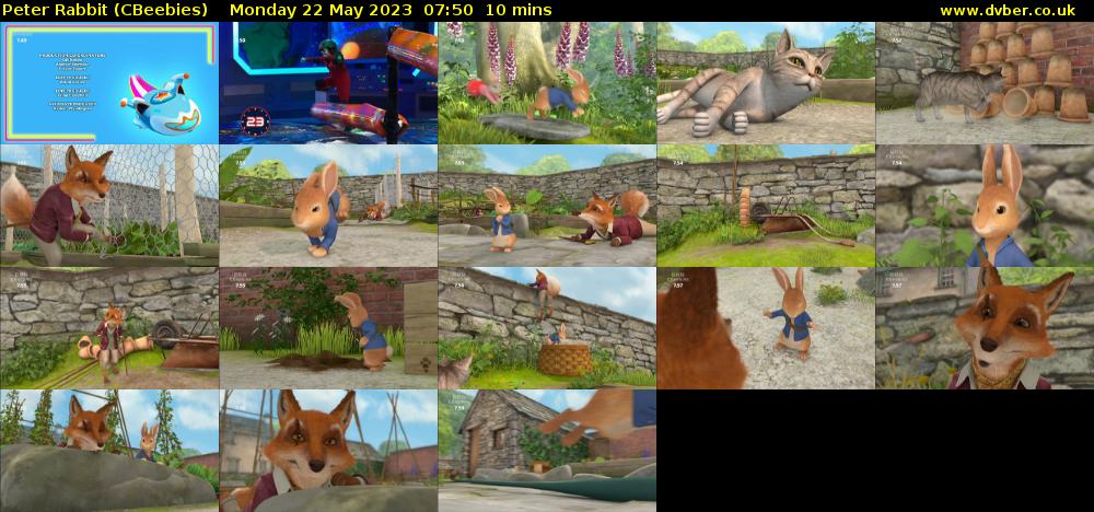 Peter Rabbit (CBeebies) - 2023-05-22-0750