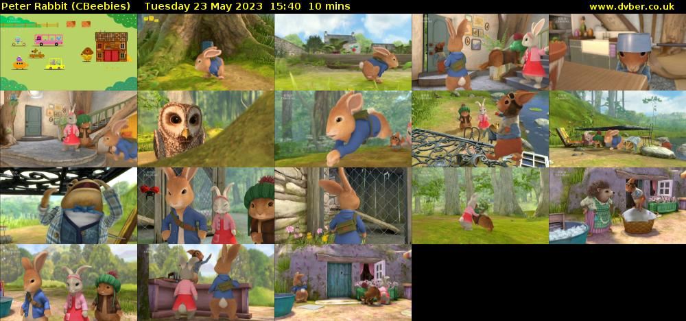 Peter Rabbit (CBeebies) - 2023-05-23-1540