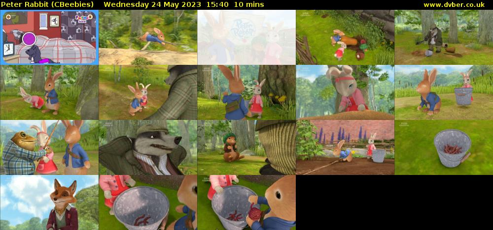 Peter Rabbit (CBeebies) - 2023-05-24-1540