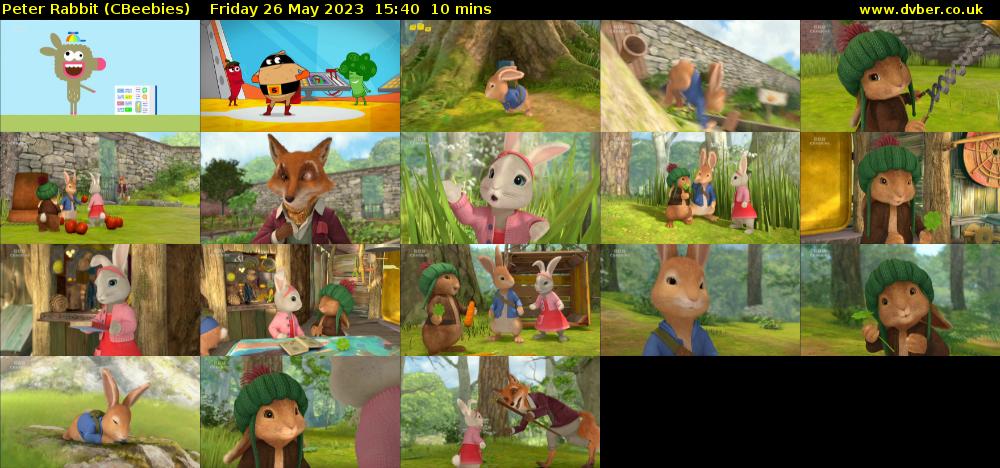 Peter Rabbit (CBeebies) - 2023-05-26-1540