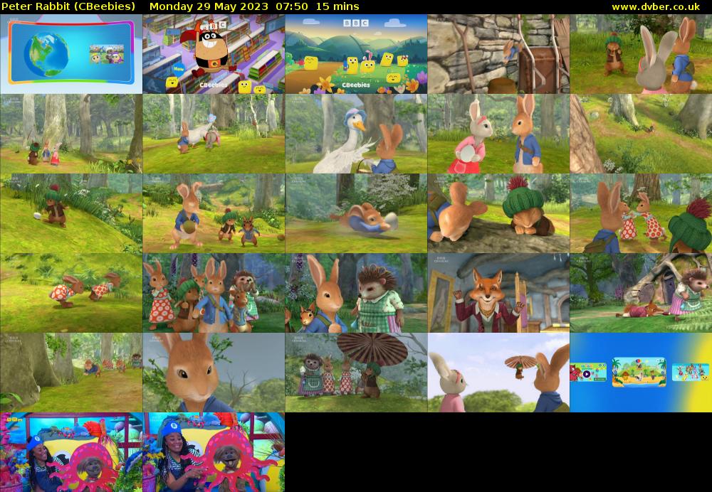 Peter Rabbit (CBeebies) - 2023-05-29-0750