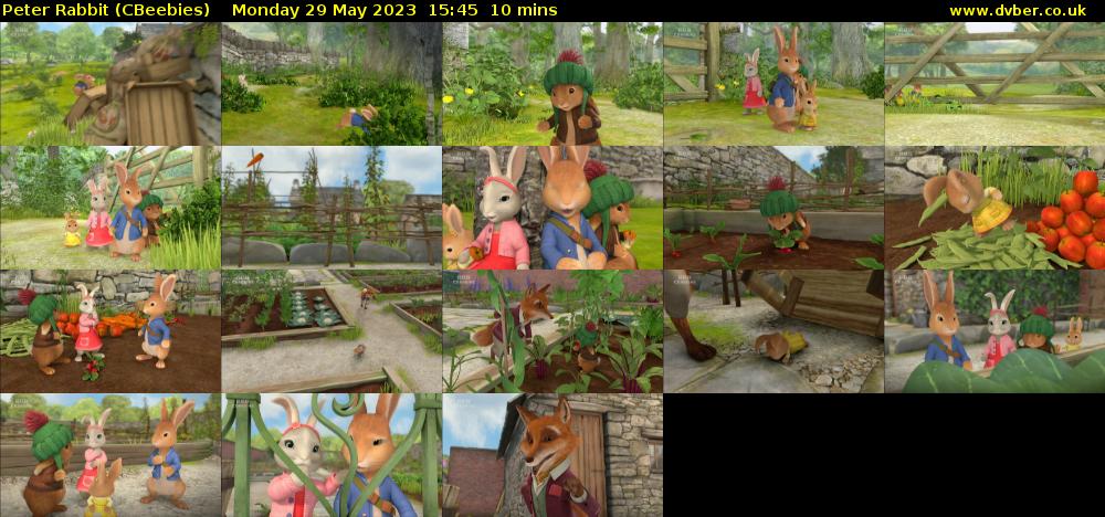 Peter Rabbit (CBeebies) - 2023-05-29-1545