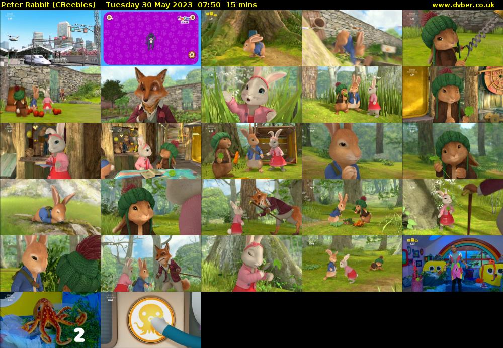 Peter Rabbit (CBeebies) - 2023-05-30-0750