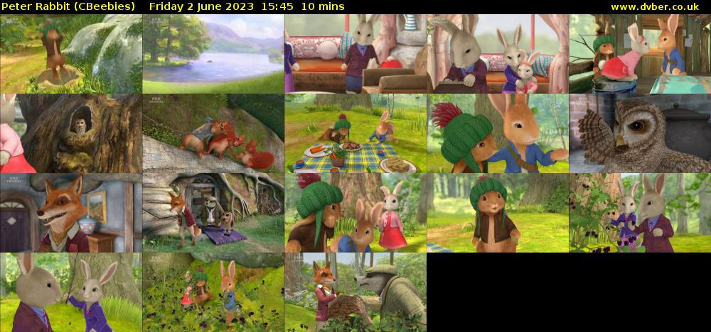 Peter Rabbit (CBeebies) - 2023-06-02-1545
