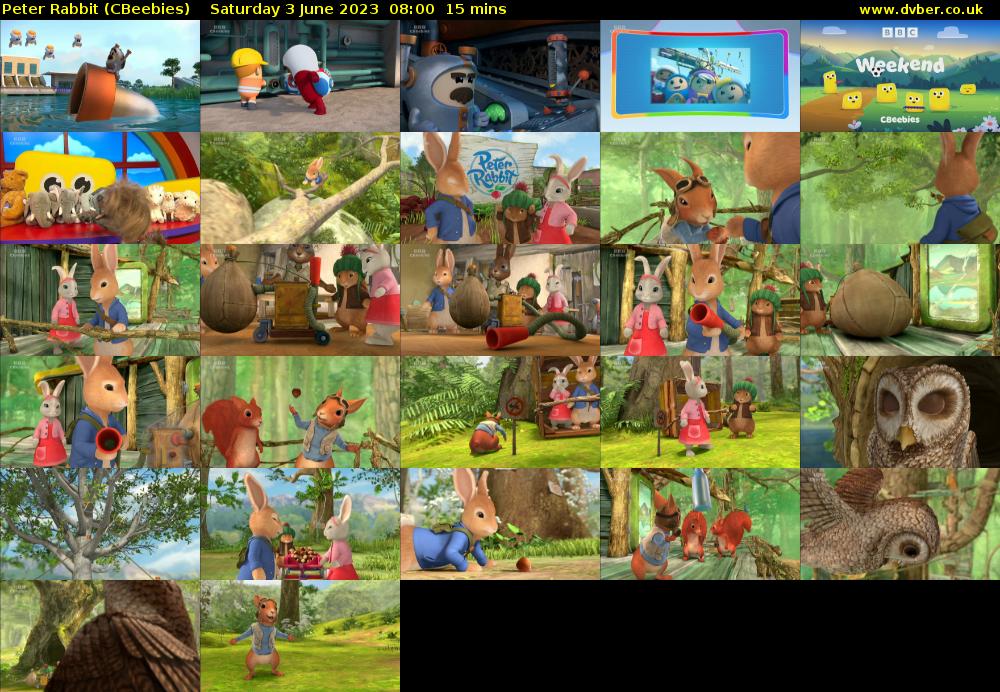 Peter Rabbit (CBeebies) - 2023-06-03-0800