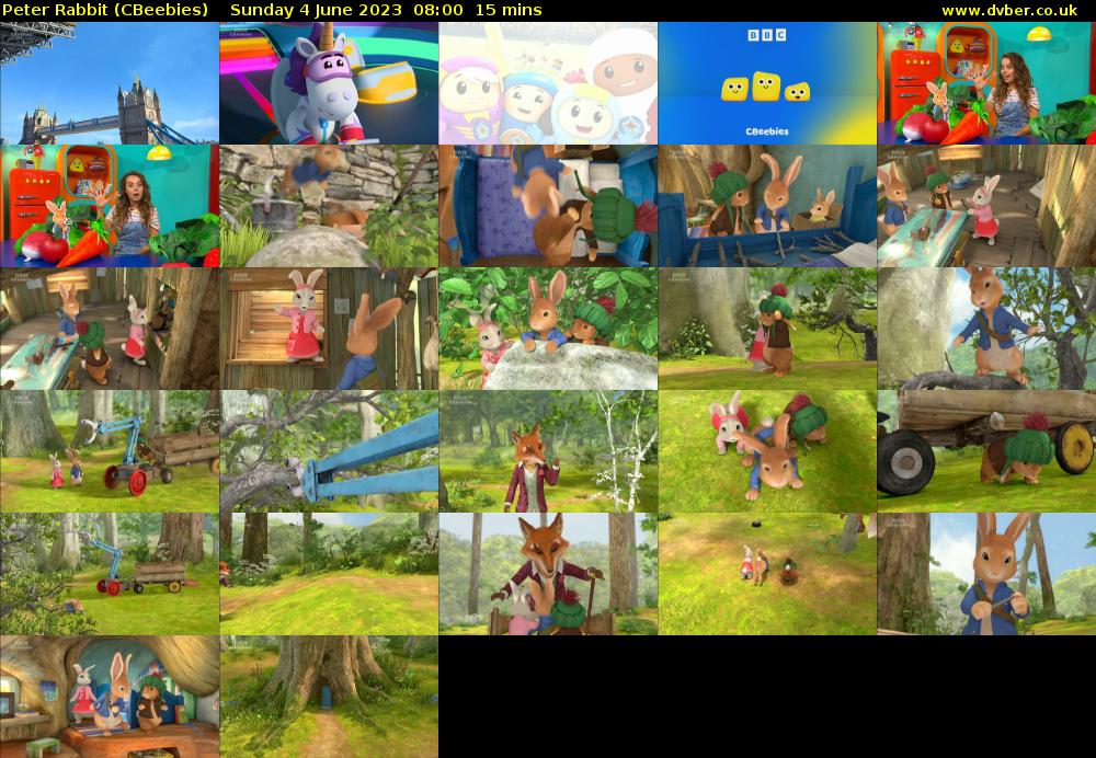 Peter Rabbit (CBeebies) - 2023-06-04-0800