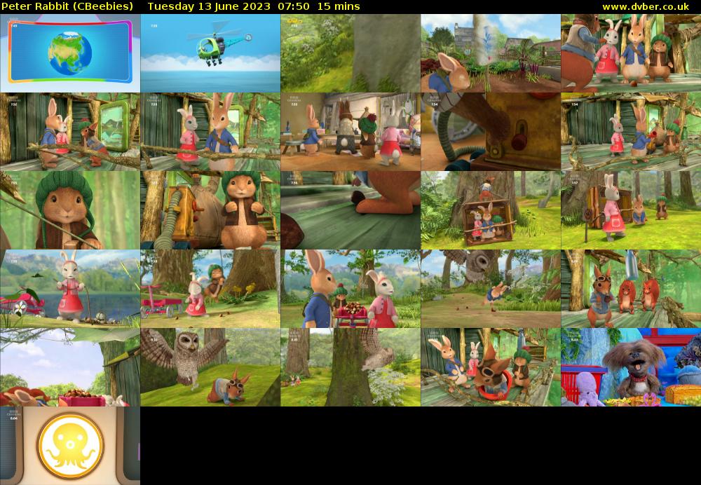 Peter Rabbit (CBeebies) - 2023-06-13-0750