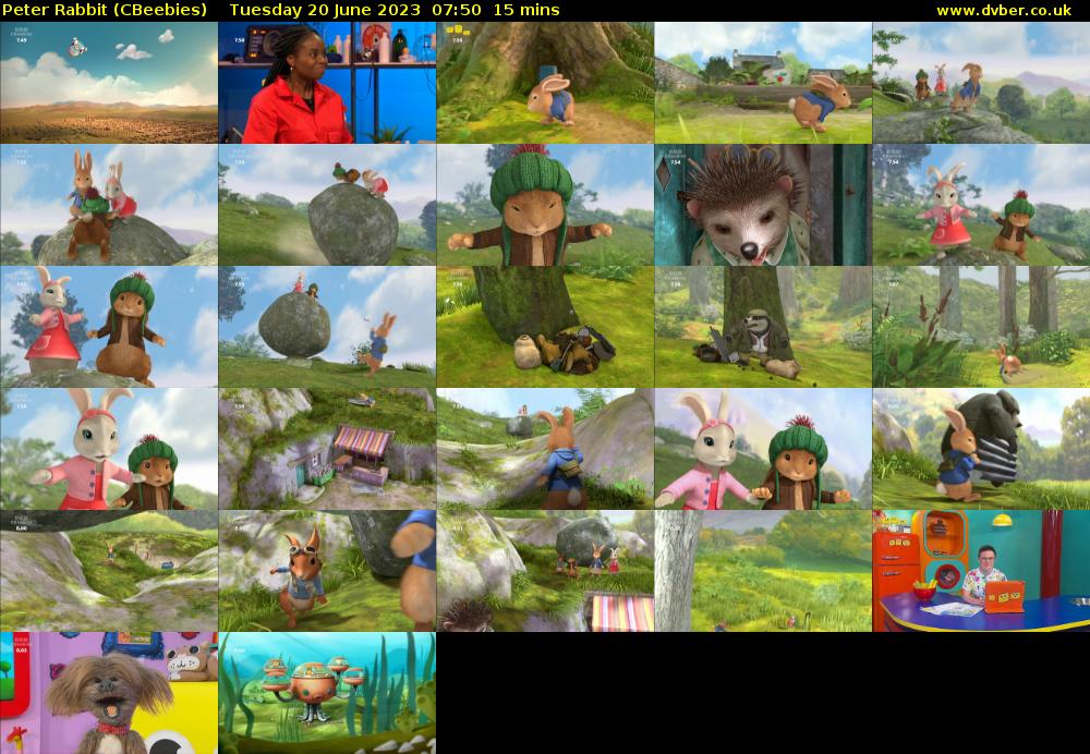 Peter Rabbit (CBeebies) - 2023-06-20-0750