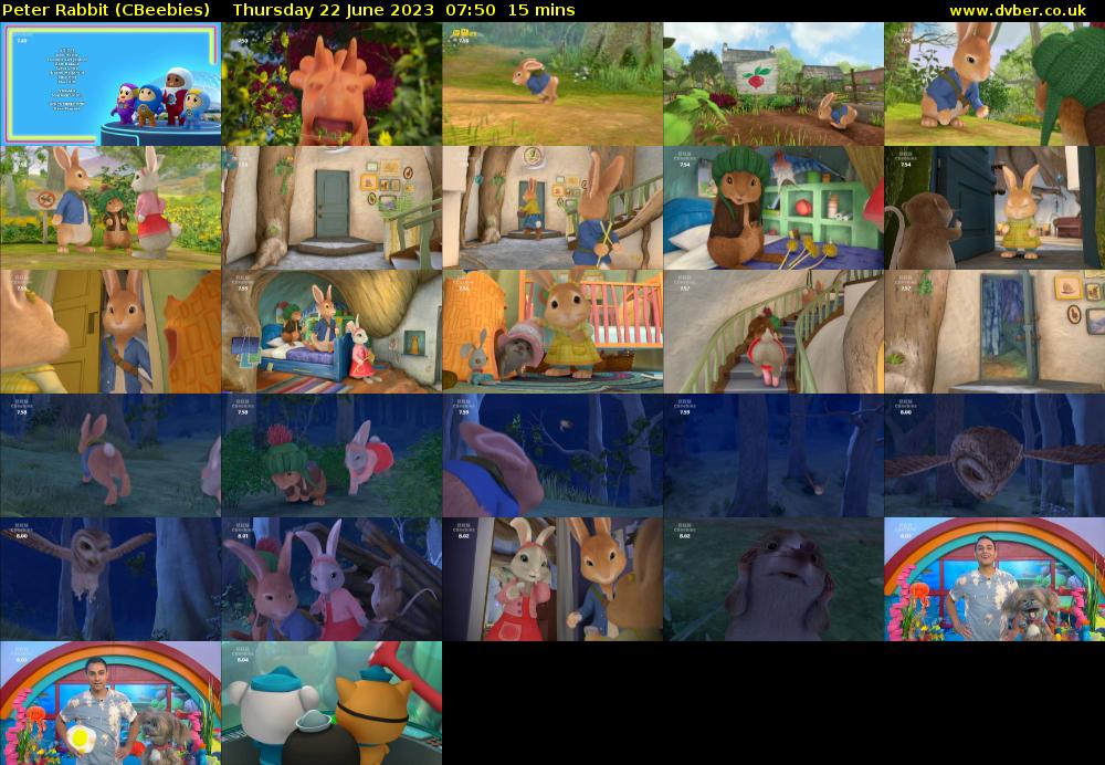 Peter Rabbit (CBeebies) - 2023-06-22-0750