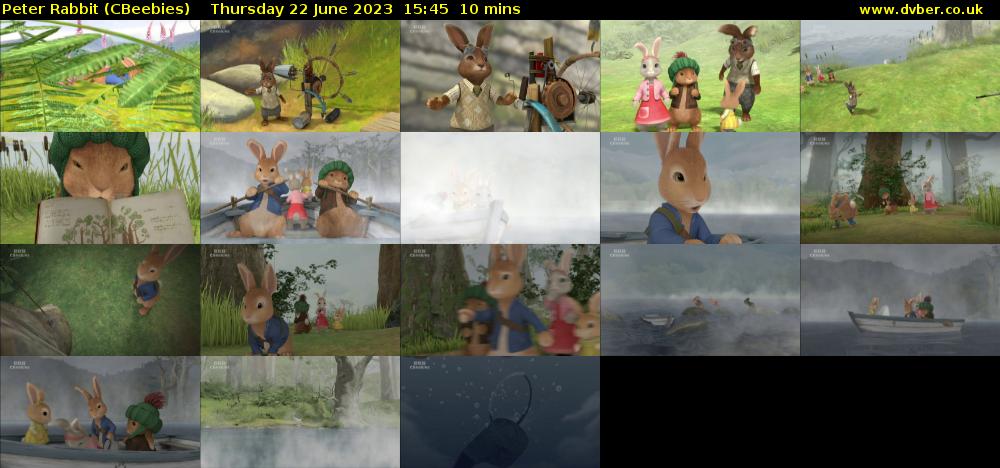 Peter Rabbit (CBeebies) - 2023-06-22-1545