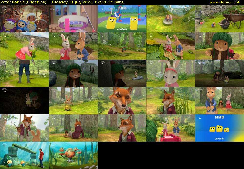 Peter Rabbit (CBeebies) - 2023-07-11-0750