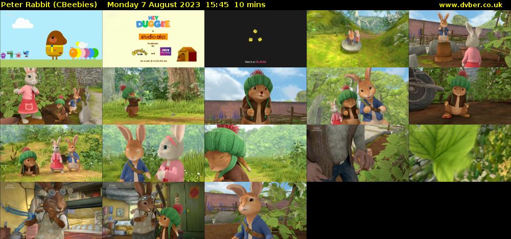Peter Rabbit (CBeebies) - 2023-08-07-1545