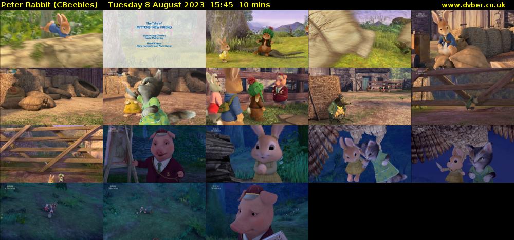 Peter Rabbit (CBeebies) - 2023-08-08-1545