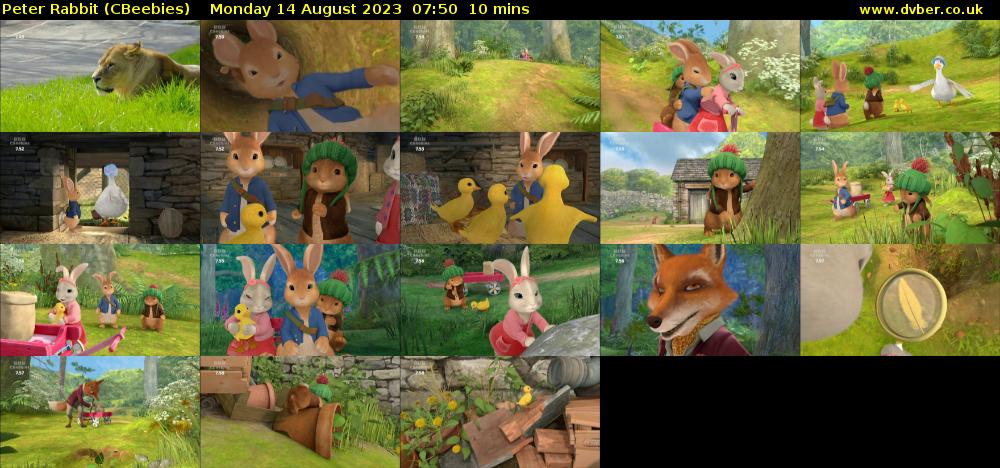 Peter Rabbit (CBeebies) - 2023-08-14-0750