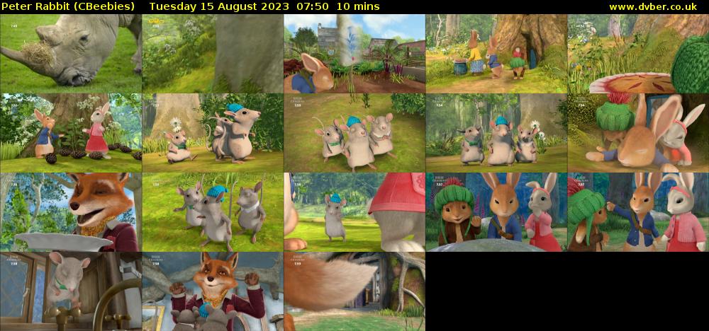 Peter Rabbit (CBeebies) - 2023-08-15-0750