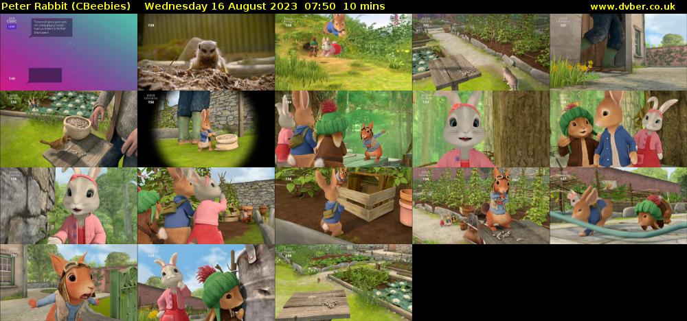 Peter Rabbit (CBeebies) - 2023-08-16-0750