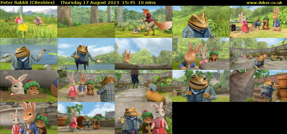 Peter Rabbit (CBeebies) - 2023-08-17-1545