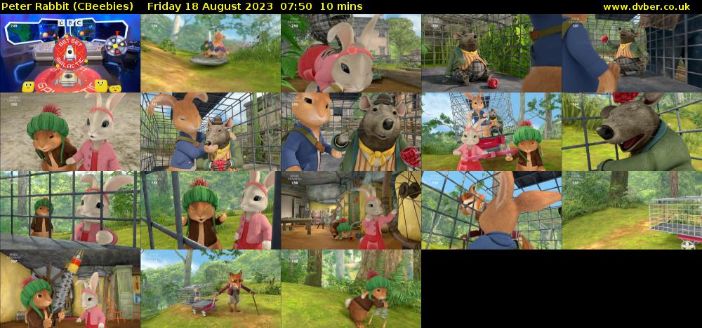 Peter Rabbit (CBeebies) - 2023-08-18-0750