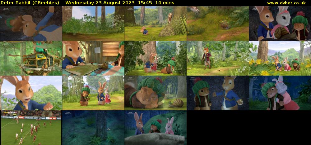 Peter Rabbit (CBeebies) - 2023-08-23-1545