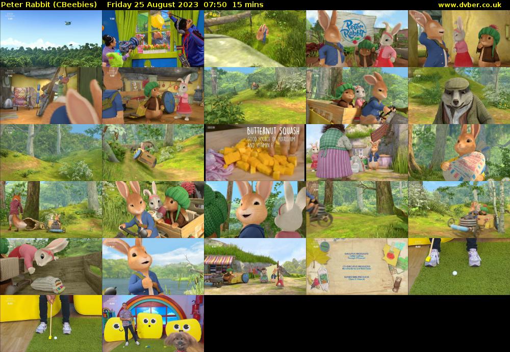 Peter Rabbit (CBeebies) - 2023-08-25-0750