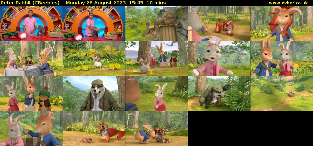 Peter Rabbit (CBeebies) - 2023-08-28-1545