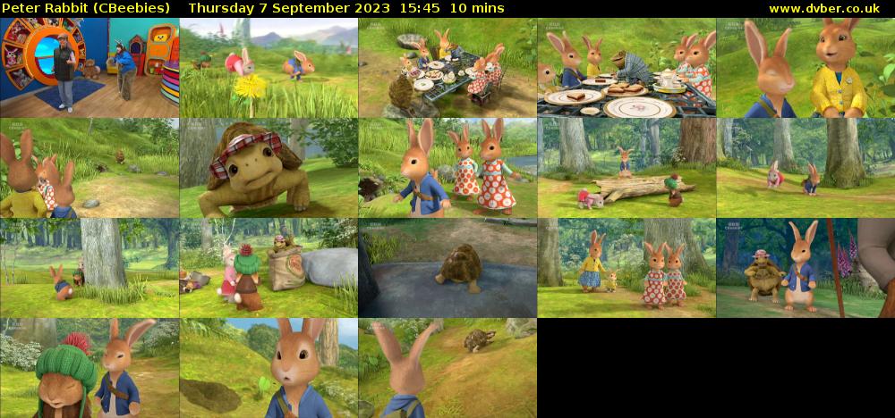 Peter Rabbit (CBeebies) - 2023-09-07-1545