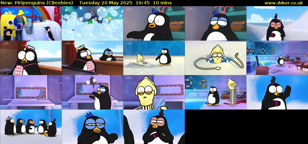 Piripenguins (CBeebies) - 2025-05-20-1645