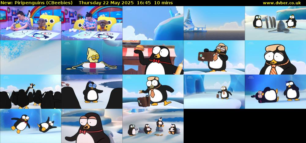 Piripenguins (CBeebies) - 2025-05-22-1645
