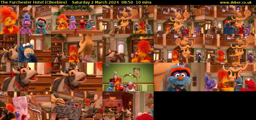 The Furchester Hotel (CBeebies) - 2024-03-02-0850