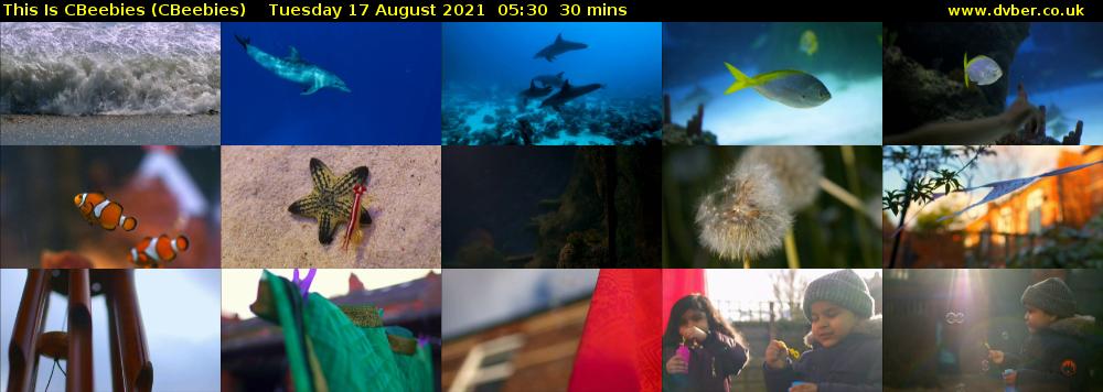 This Is CBeebies (CBeebies) - 2021-08-17-0530