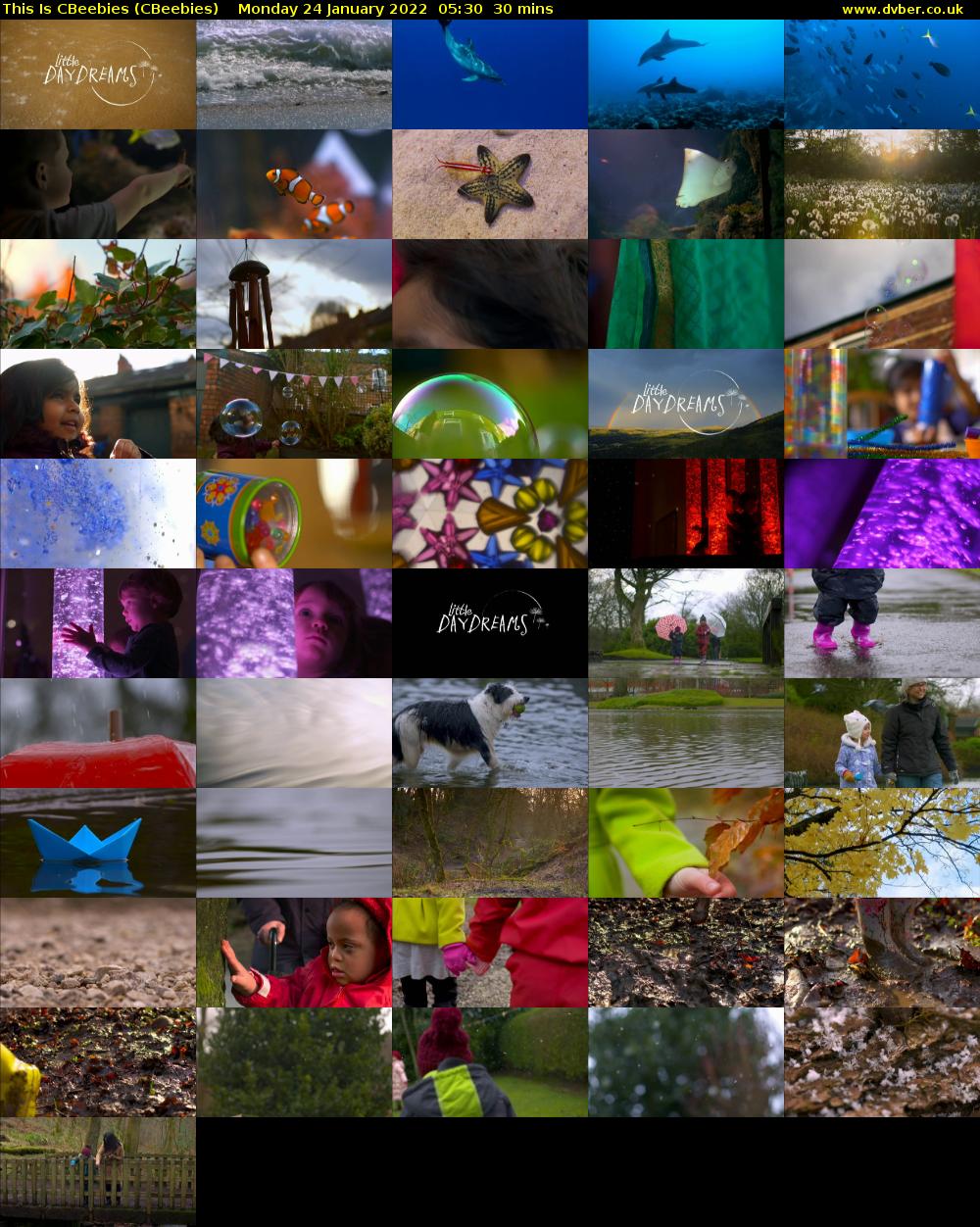 This Is CBeebies (CBeebies) - 2022-01-24-0530