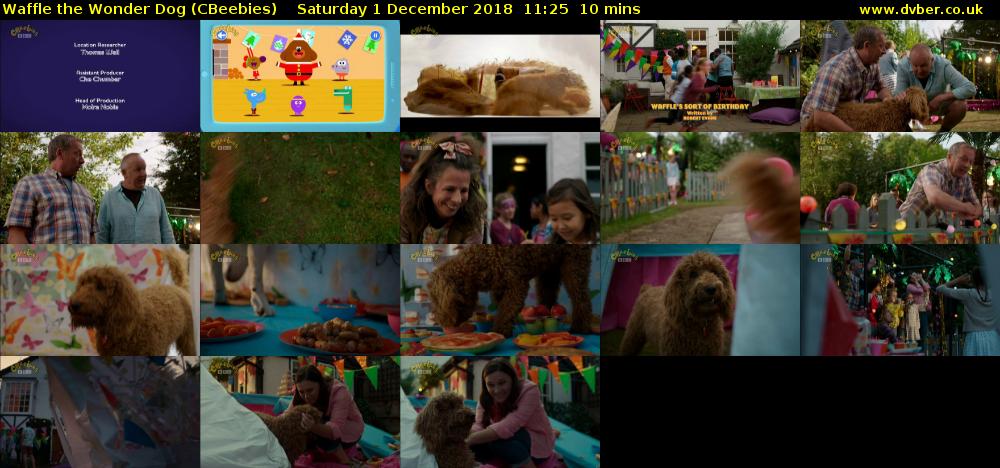 Waffle the Wonder Dog (CBeebies) - 2018-12-01-1125