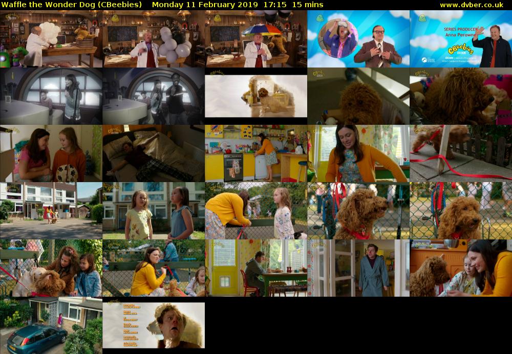 Waffle the Wonder Dog (CBeebies) - 2019-02-11-1715