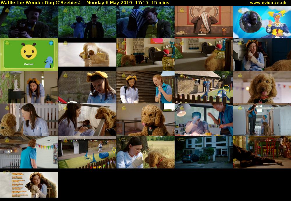 Waffle the Wonder Dog (CBeebies) - 2019-05-06-1715
