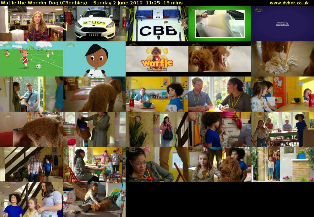 Waffle the Wonder Dog (CBeebies) - 2019-06-02-1125