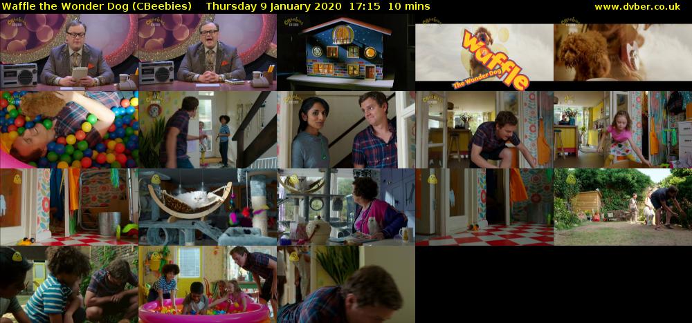 Waffle the Wonder Dog (CBeebies) - 2020-01-09-1715