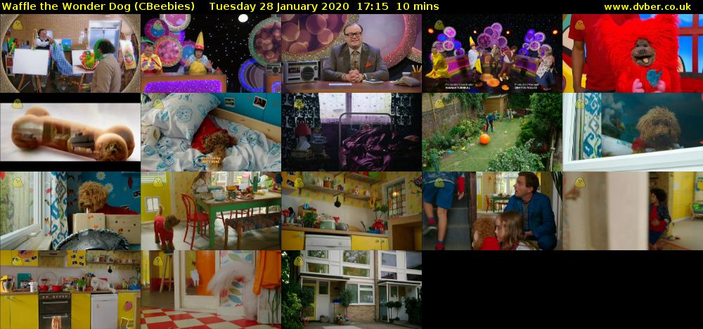 Waffle the Wonder Dog (CBeebies) - 2020-01-28-1715