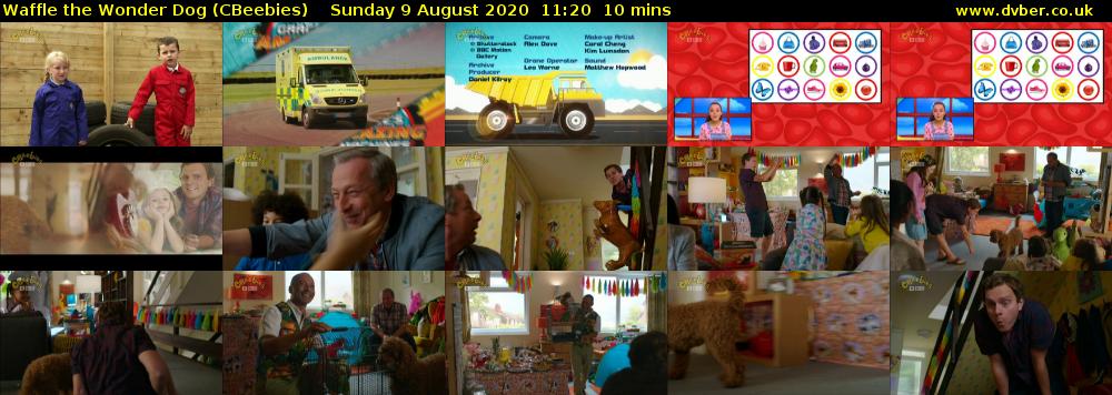 Waffle the Wonder Dog (CBeebies) - 2020-08-09-1120