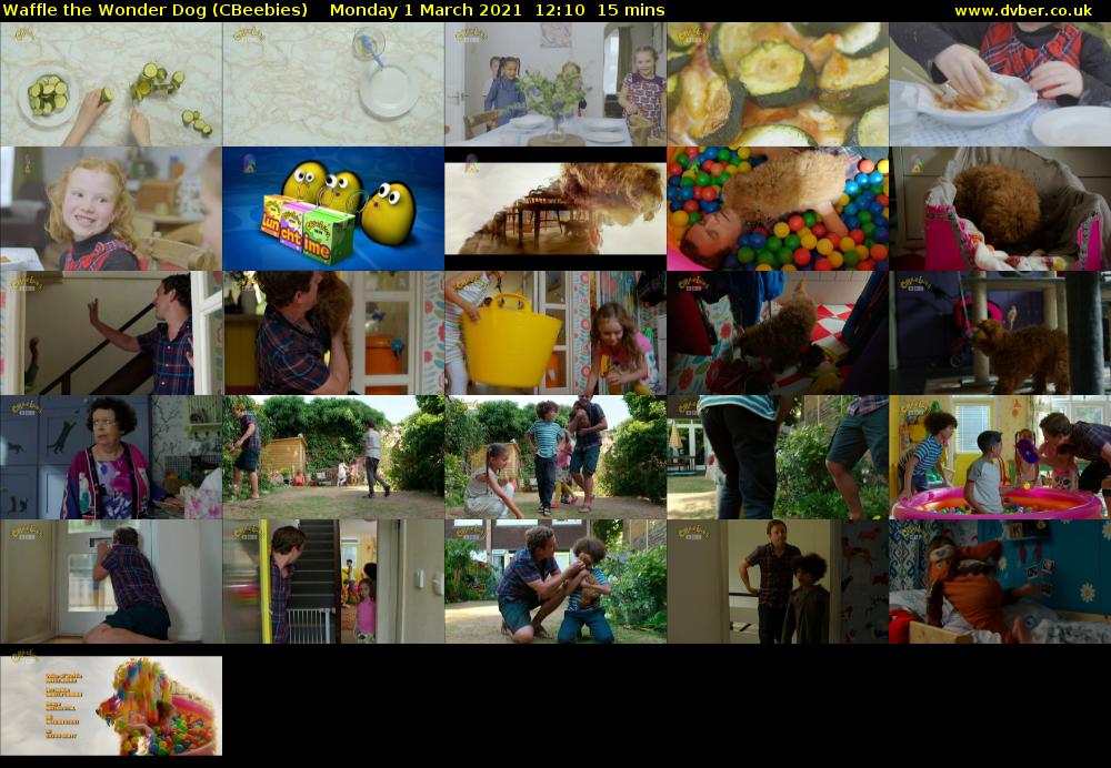 Waffle the Wonder Dog (CBeebies) - 2021-03-01-1210