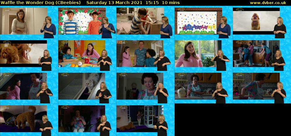 Waffle the Wonder Dog (CBeebies) - 2021-03-13-1515