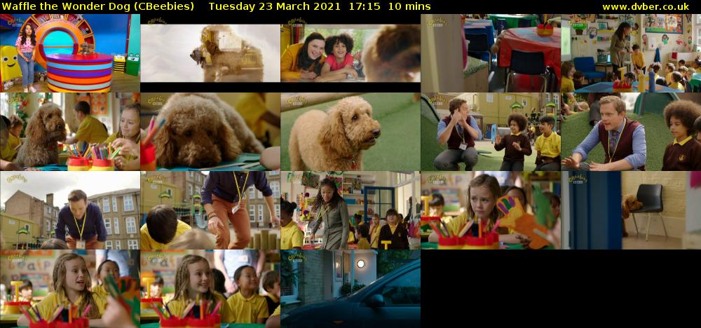 Waffle the Wonder Dog (CBeebies) - 2021-03-23-1715